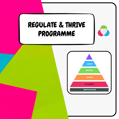 Regulate & Thrive Programme | Child Therapy Service