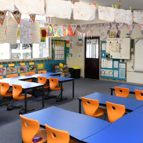 Exploring Sensory Circuits