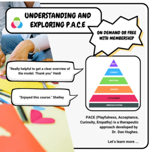 Understanding and Exploring P.A.C.E.